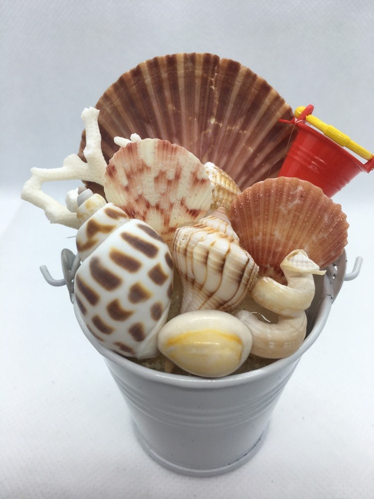 Beach Treasure Buckets 2coastal Ornamentsbeach - Etsy