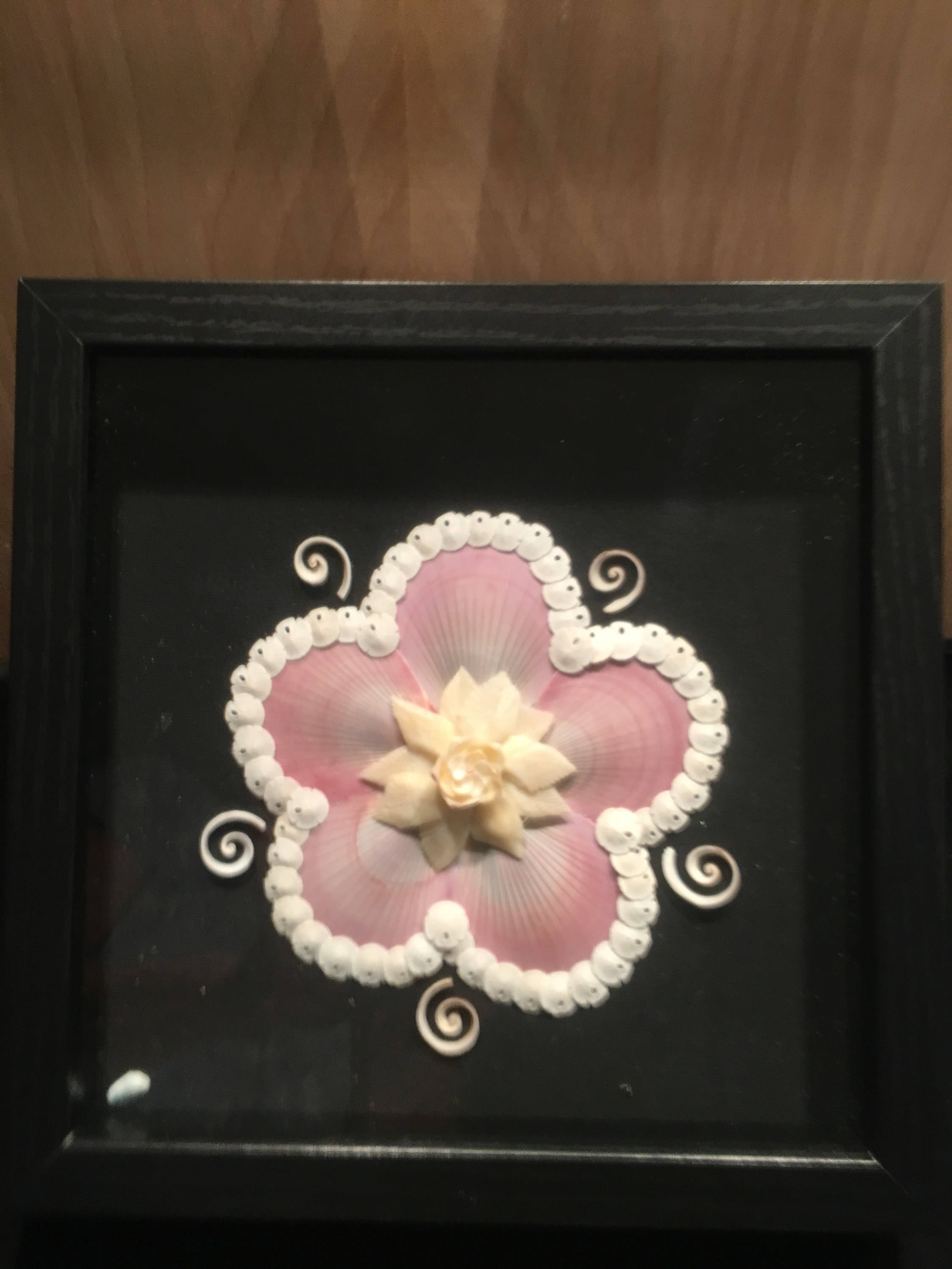 Pink Shell Art Sand Dollar Art Seashell Art Summer Home Decor - Etsy