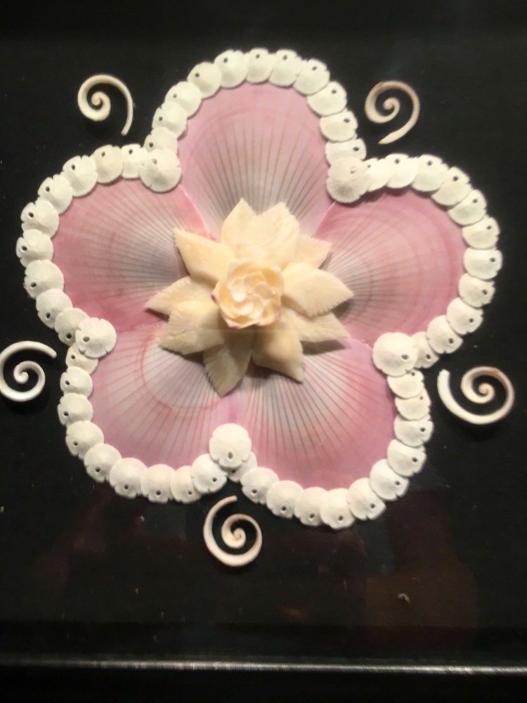 Pink Shell Art Sand Dollar Art Seashell Art Summer Home Decor - Etsy