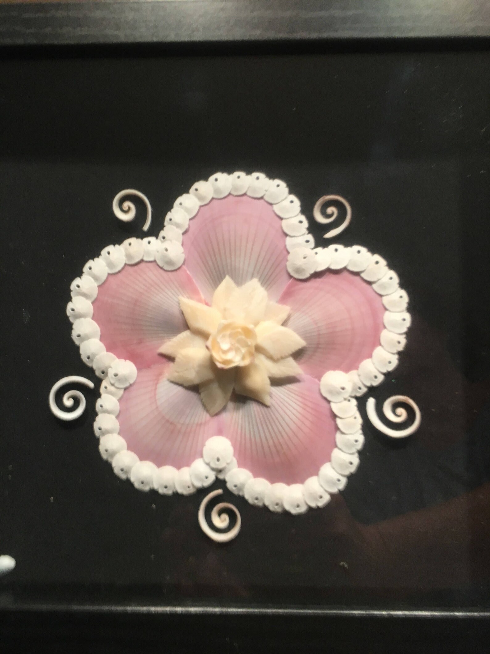 Pink Shell Art Sand Dollar Art Seashell Art Summer Home Decor - Etsy