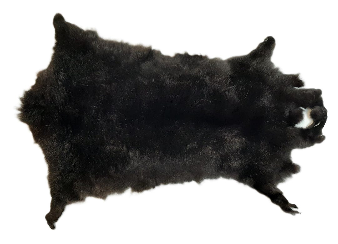 Brush-tail Possum Pelt, Dyed Black - Etsy