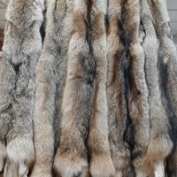 Timber Wolf - Etsy
