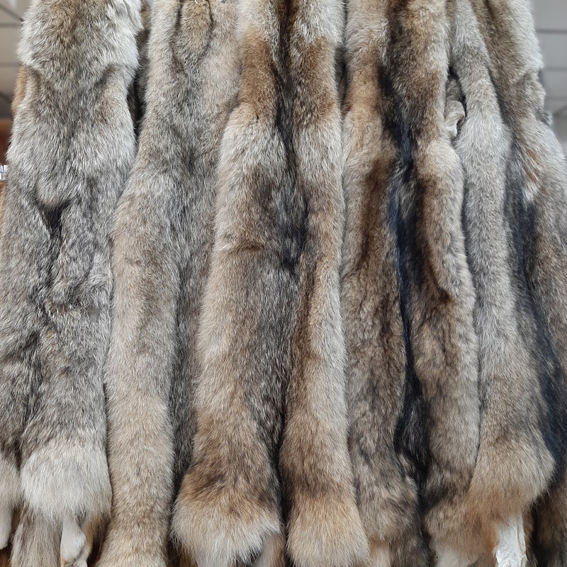 Coyote Fur Coat - Etsy