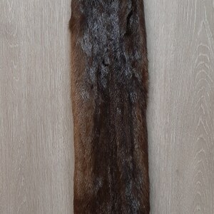 River Otter Pelt, Tanned - Etsy