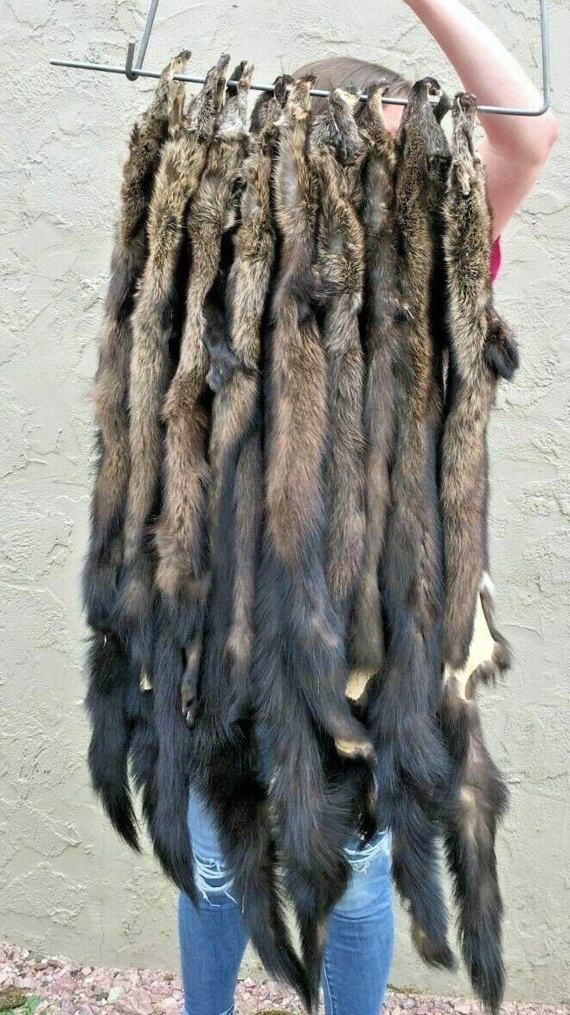 1-tanned Fisher Pelt Fur Hide Medium Grade Average 38 - Etsy