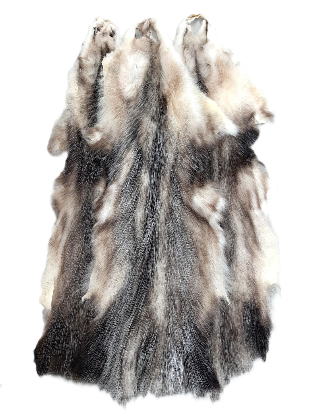 Opossum Pelt, Open Tanned - Etsy