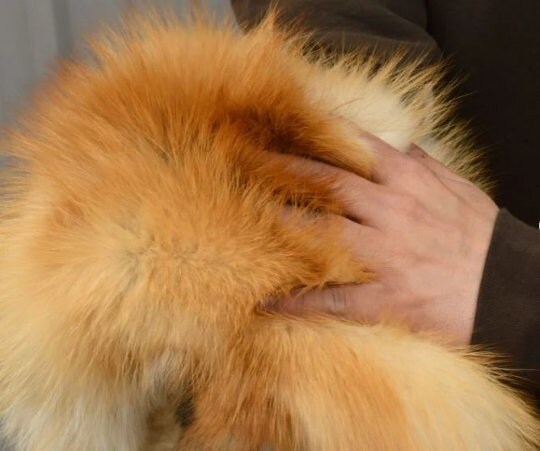 Red Fox "winter Heavy" Fur, Tanned - 44"-50" Length - Etsy