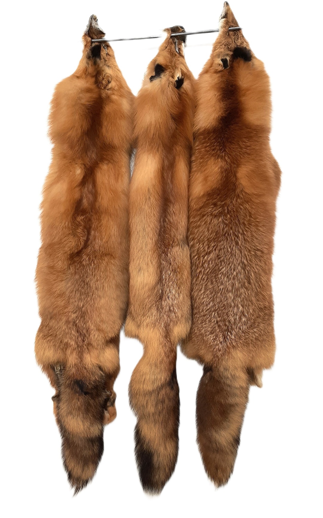 Cabin Red Fox Pelt, Tanned - Etsy