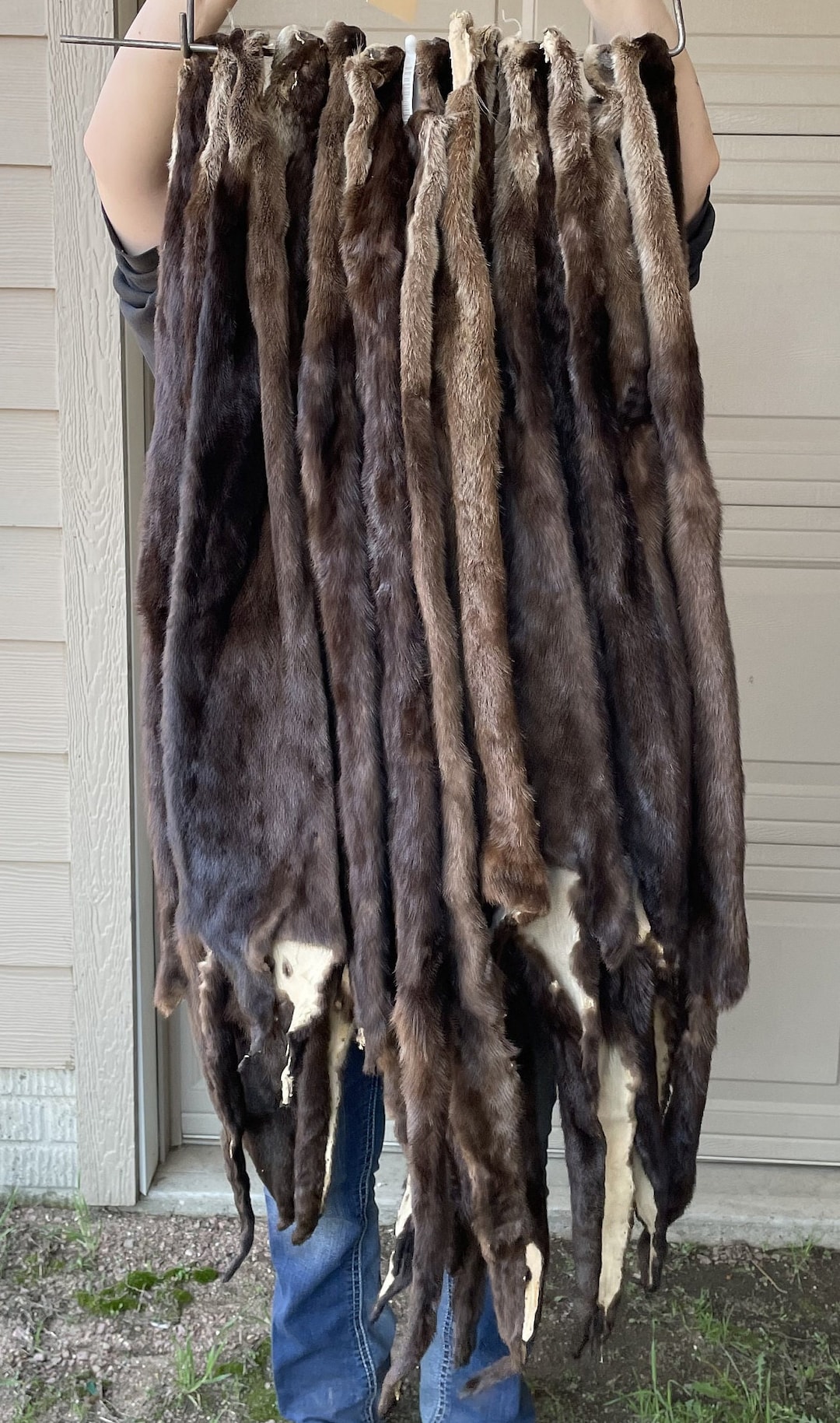 River Otter Pelt, Tanned - Etsy