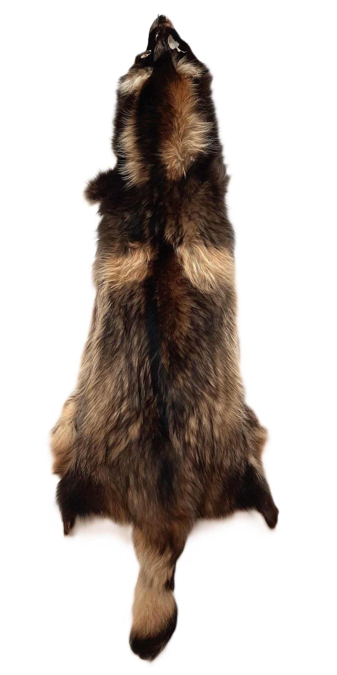 Finnish Raccoon, Tanuki Dog Fur Pelt (finland), 1X-2X - Etsy
