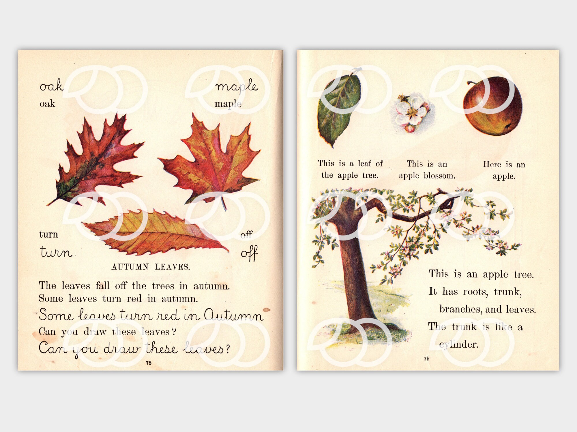 Vintage Baldwin's Primer Alphabet Pages, Children's Book Pages,digital ...