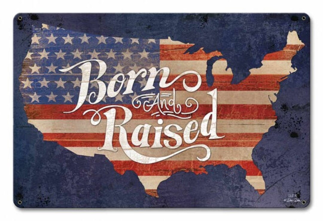 Born and Raised US Flag Patriotic Art on Metal Sign 2 Sizes - Etsy