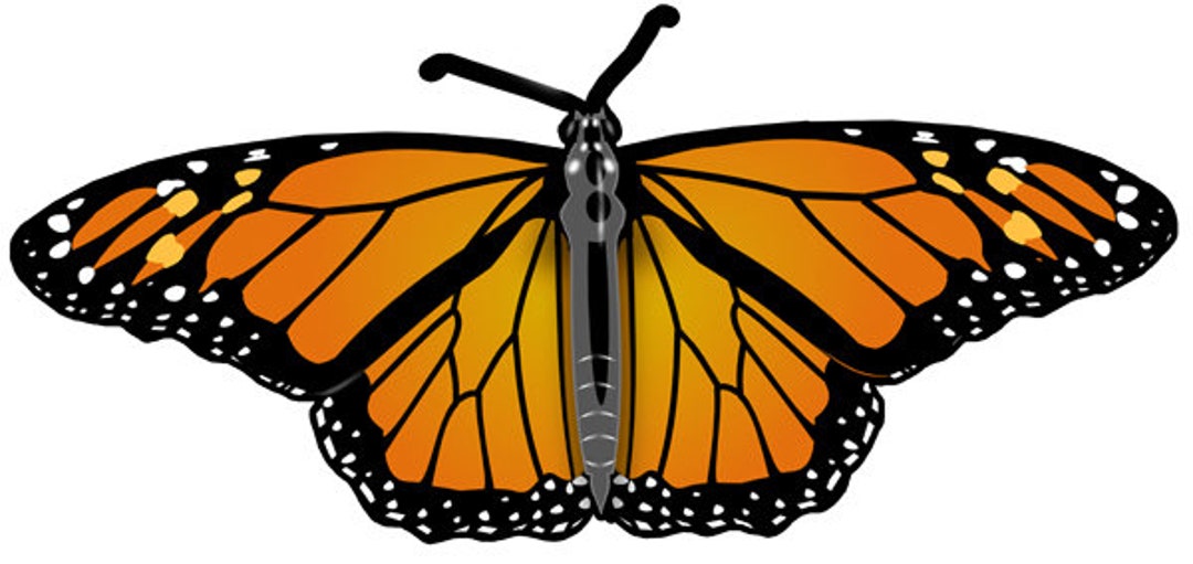 Monarch Butterfly Gold, Laser Cut Out Wall Décor Metal Sign. 17 X 8 18g ...