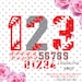 Baseball Numbers Svg, Sports Numbers Svg, Baseball SVG, DXF, Numbers ...