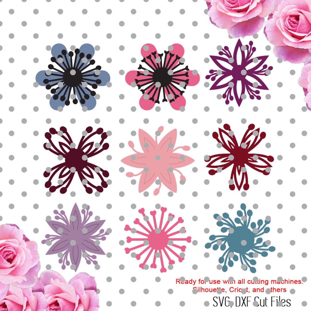 Paper Flower Centers, Flower Centers Svg, Flower Center Template ...