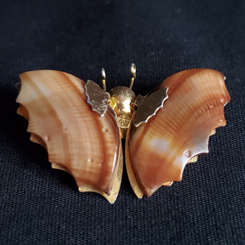 Seashell Butterfly - Etsy