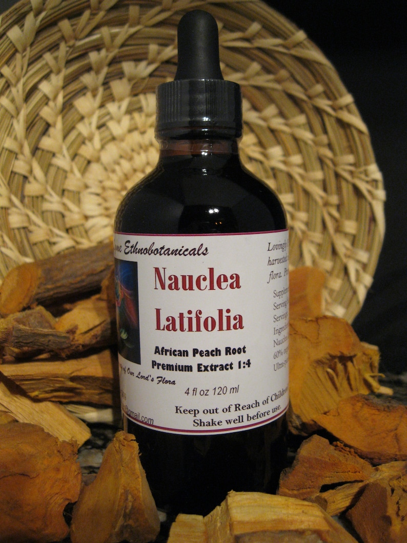 NAUCLEA LATIFOLIA African Peach 1:4 Extract Fresh Harvest Wildcrafted ...