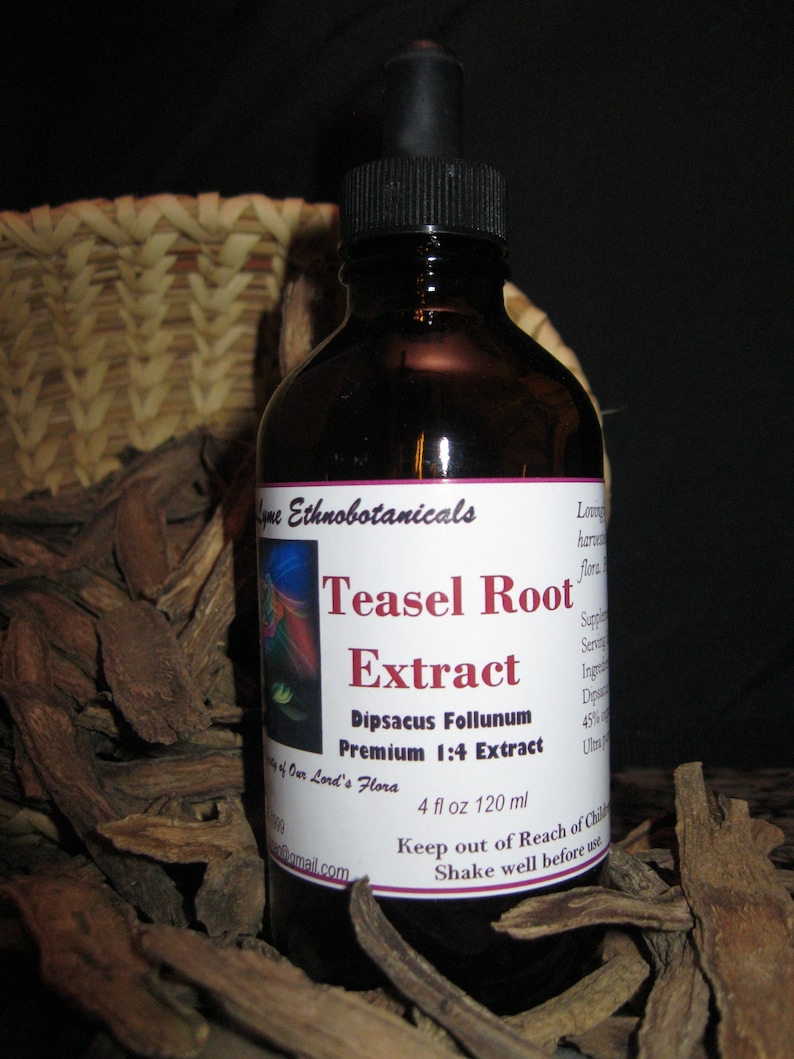 TEASEL ROOT 1:4 Extract Dipsacus Follunum Dropper Bottle - Etsy