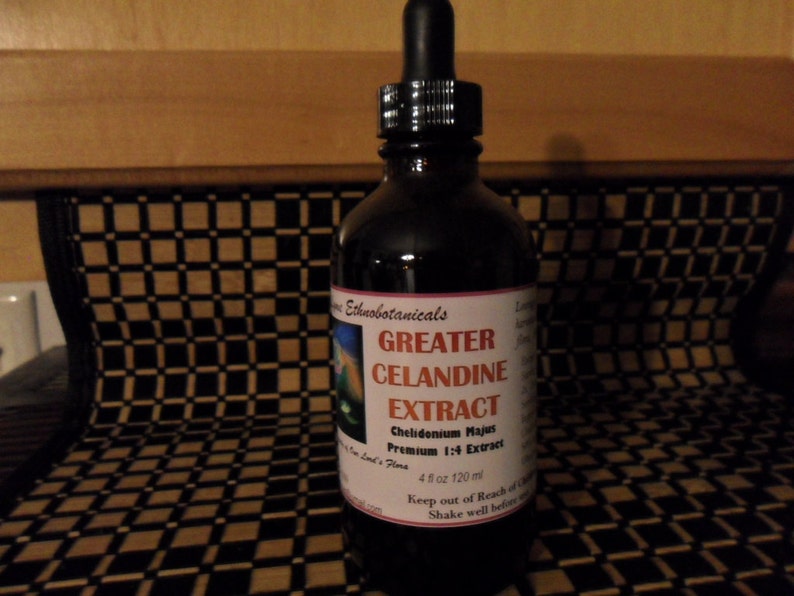 Greater Celandine 1:4 Premium Extract (chelidonium Majus Organic) - Etsy