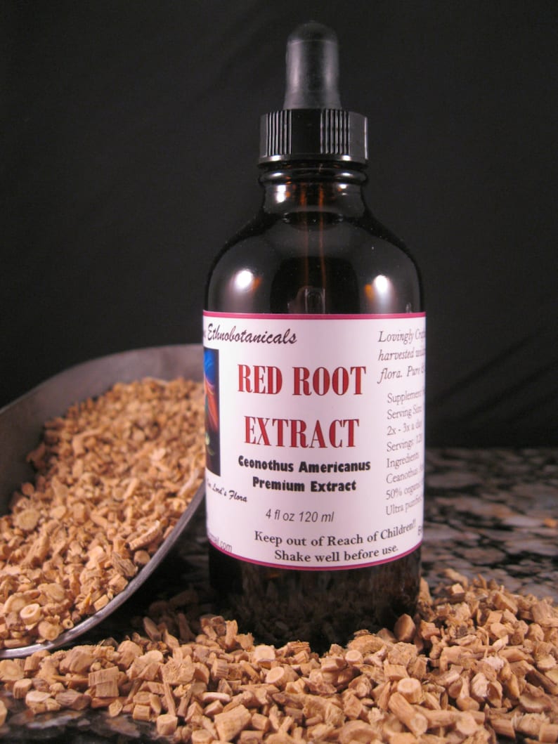 RED ROOT 1:4 Extract / Tincture Organic Ceanothus Americanus Lymph ... RED ROOT 1:4 Extract / Tincture Organic Ceanothus Americanus Lymph ...