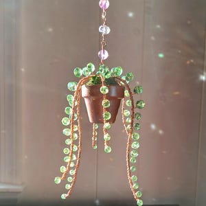 The Original Forever Succulent String of Pearls Suncatcher: Beaded ...