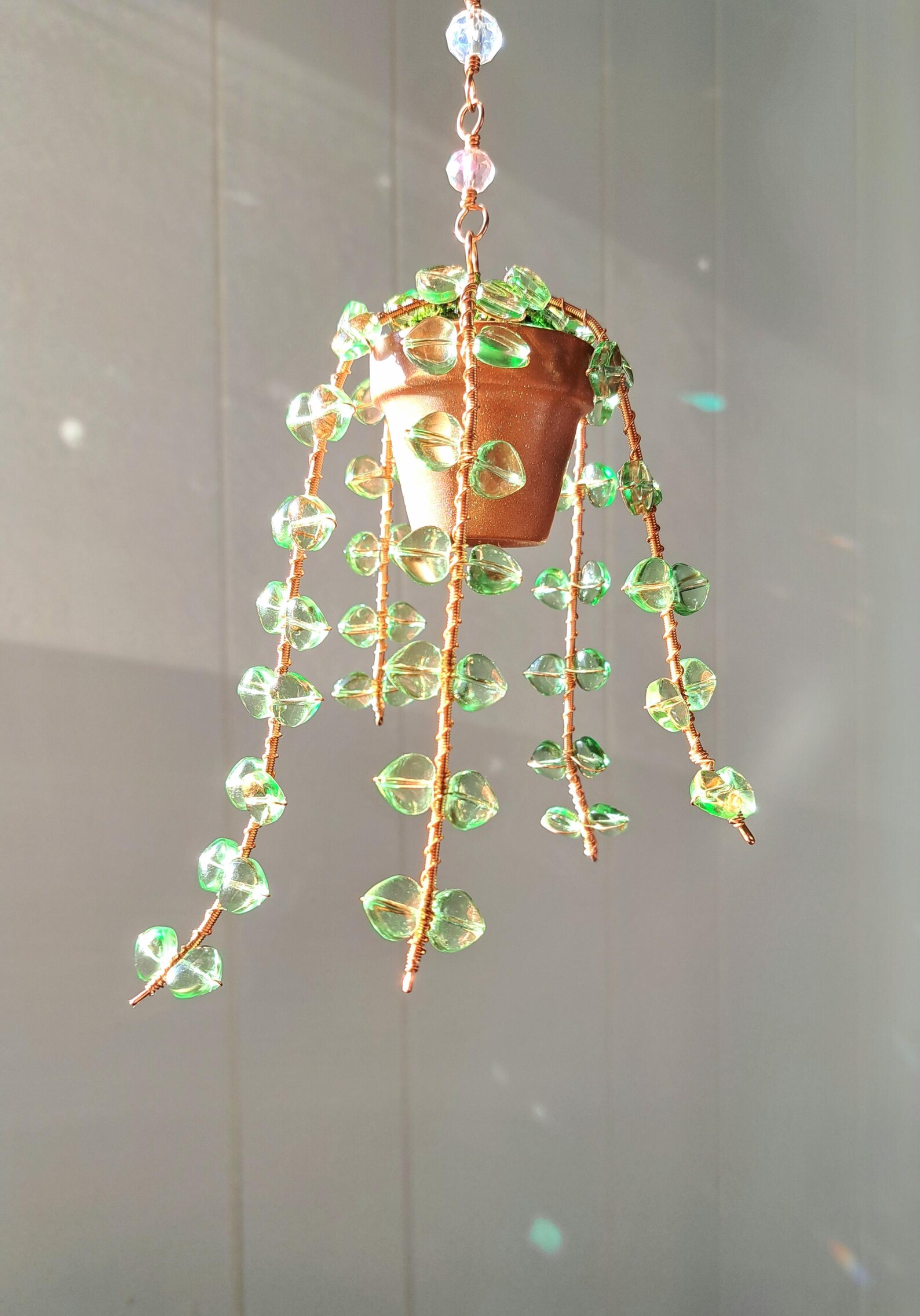 The Original String of Hearts Forever Succulent, Beaded Plant ...