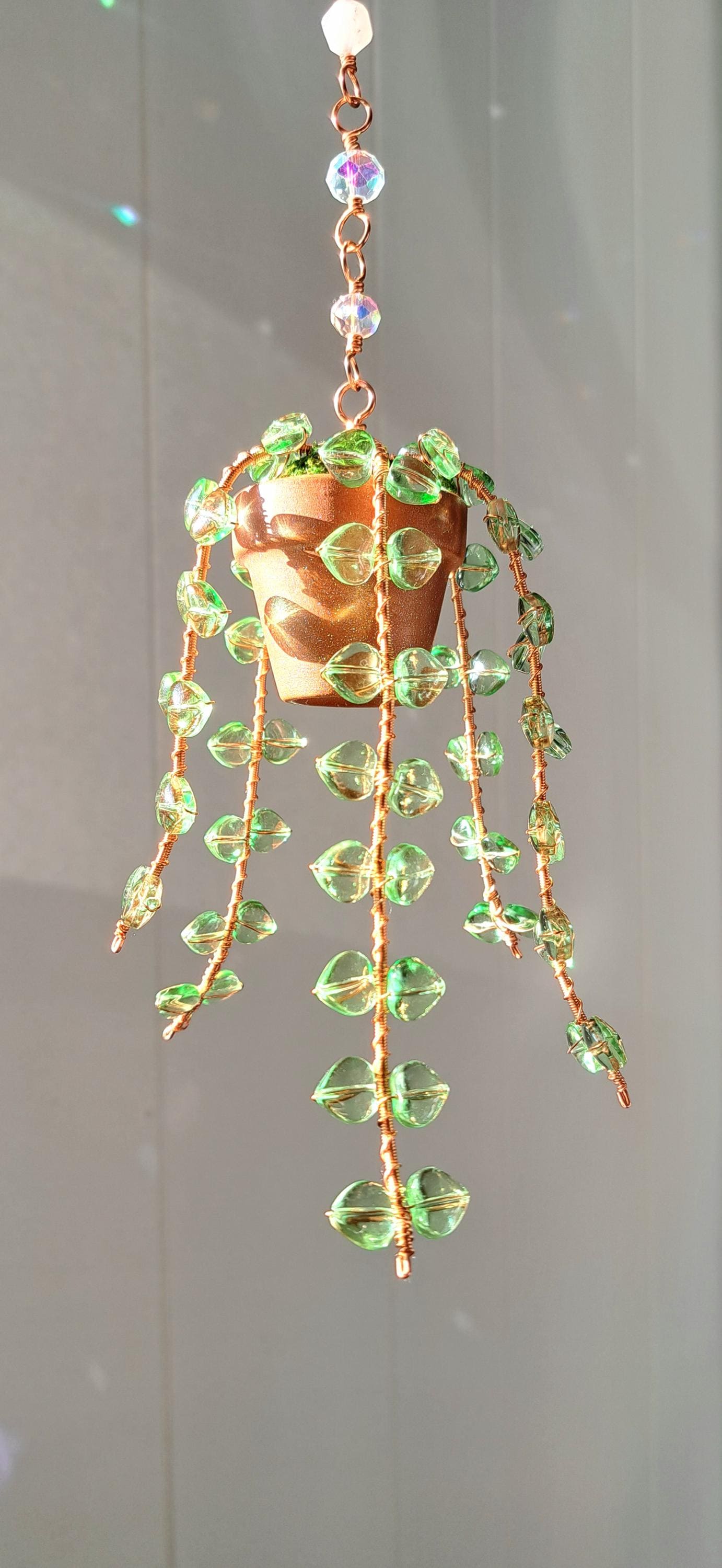The Original String of Hearts Forever Succulent, Beaded Plant ...