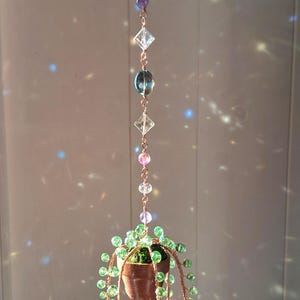 The Original String of Pearls Forever Succulent, Beaded Plant ...