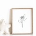 June Birth Flower Rose Drawing Floral Line Art Physical - Etsy