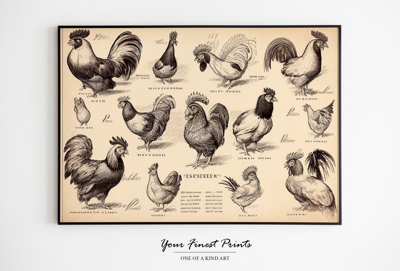 Vintage Chicken Breeds Kitchen Art Chicken Lover Antique - Etsy