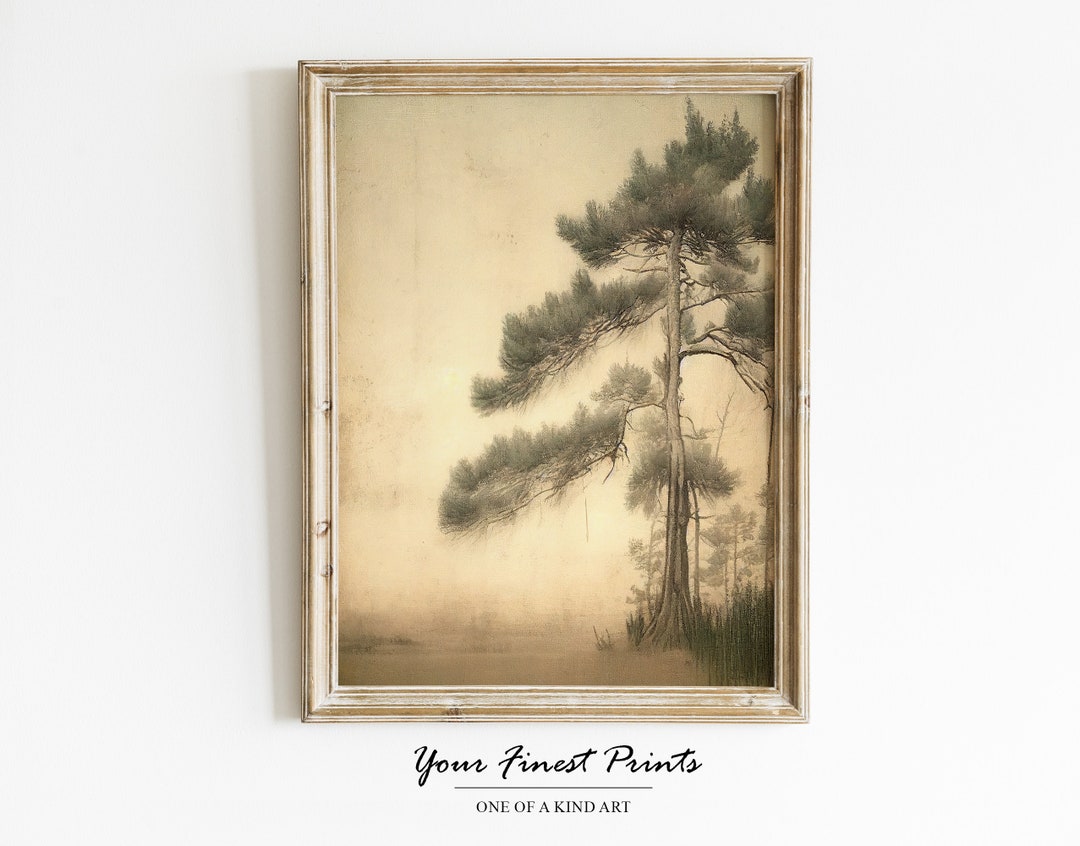Vintage Minimalist Forest Sketch | Forest Drawing | Antique Pine Tree ...