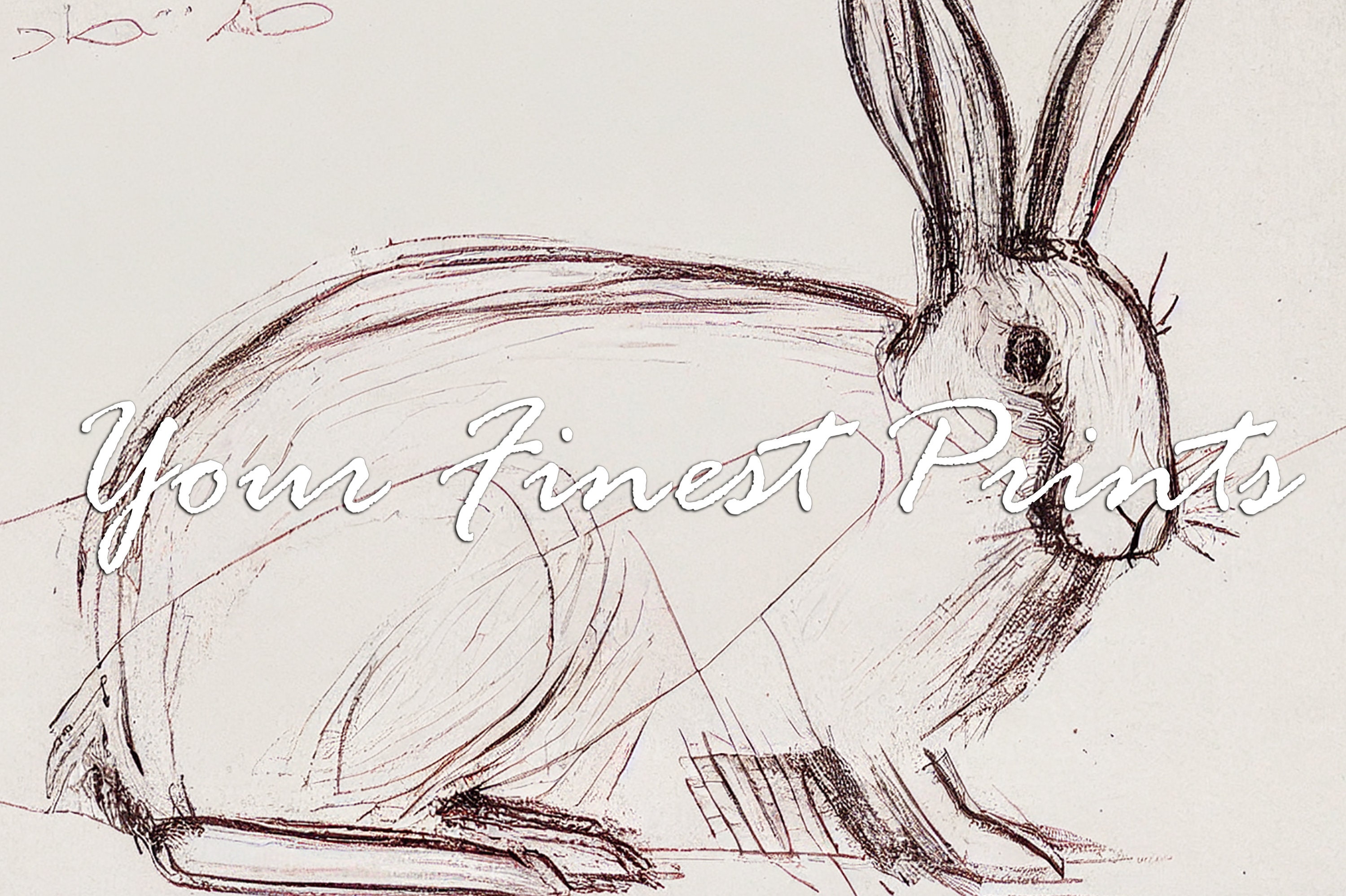 Rabbit Rustic Sketch Art Antique Wall Art Print Farmhouse - Etsy