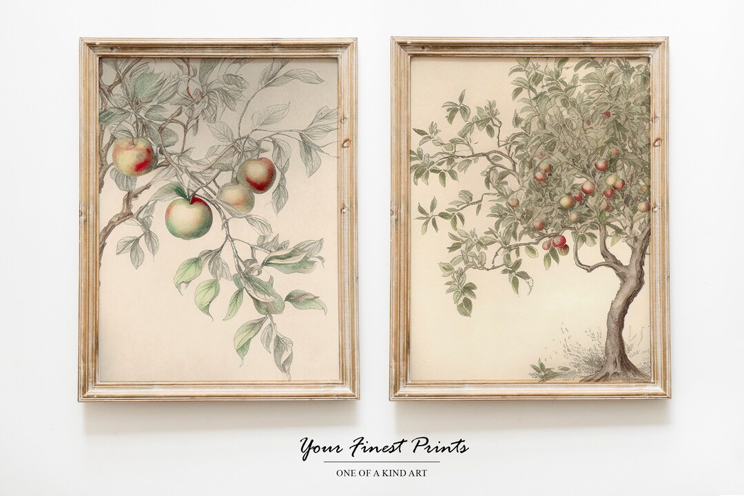 Set of 2 | Vintage Apple Tree Print | Antique | Rustic | Kitchen Art ...