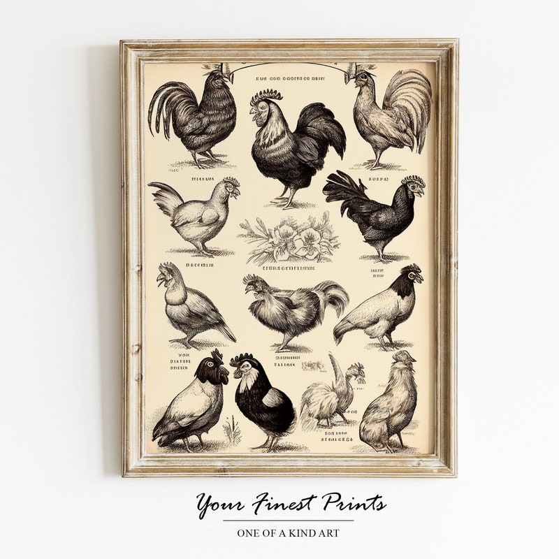 Antique Chickens - Etsy