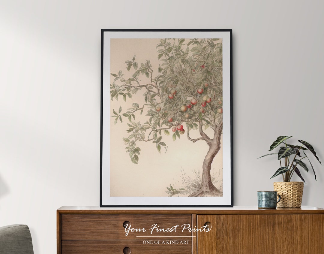 Vintage Apple Tree Print | Antique | Rustic | Neutral | Kitchen Art ...