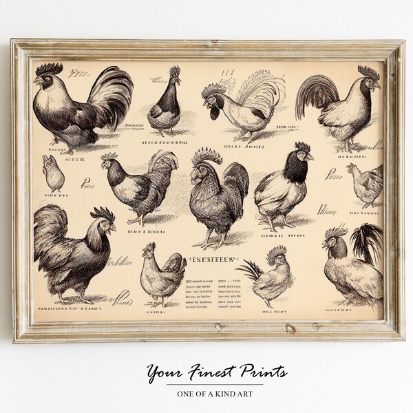 Chicken Breeds Poster - Etsy