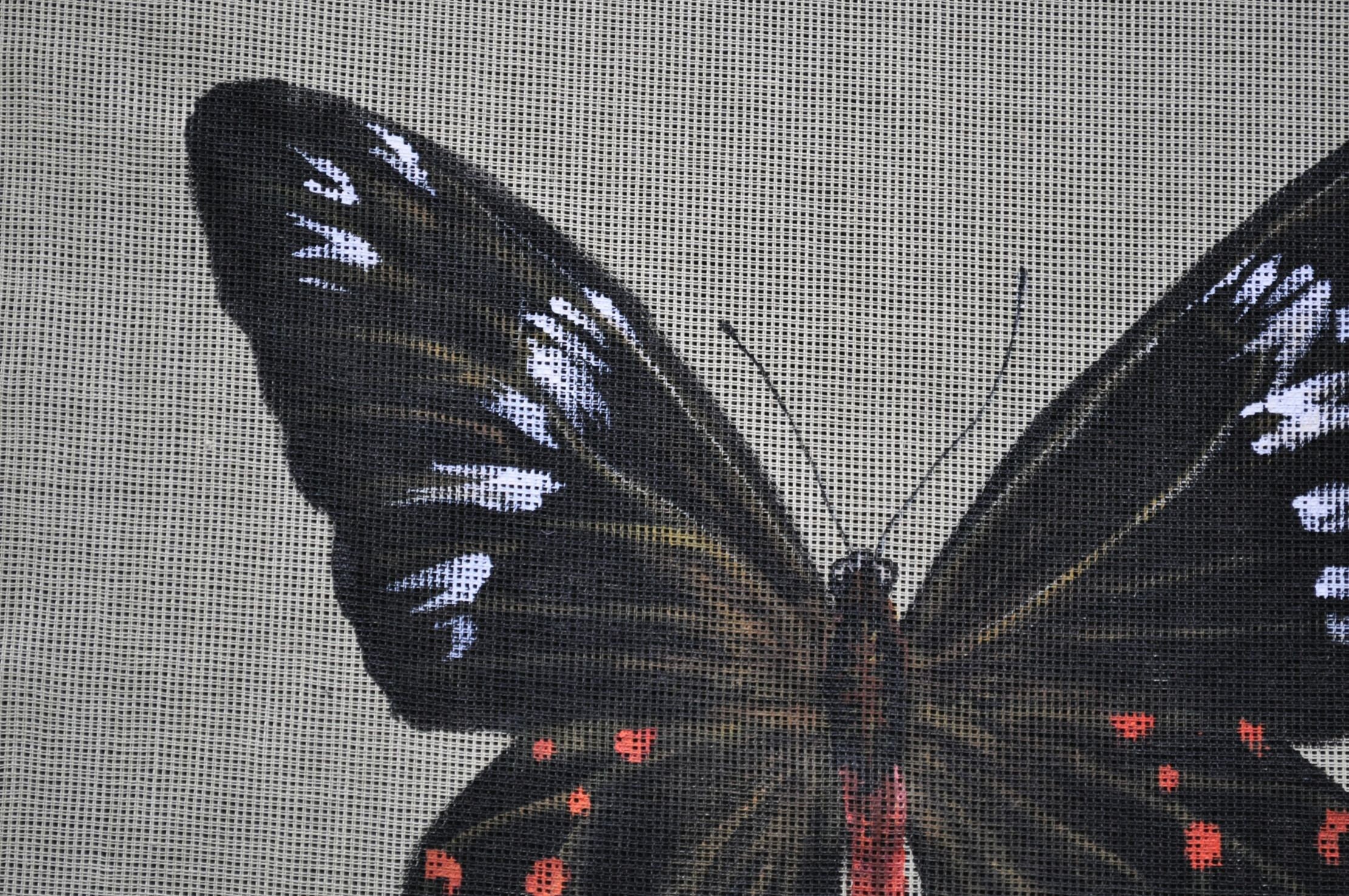 DIY Butterfly Needlepoint Blueprint | Hand Painted Butterfly ...