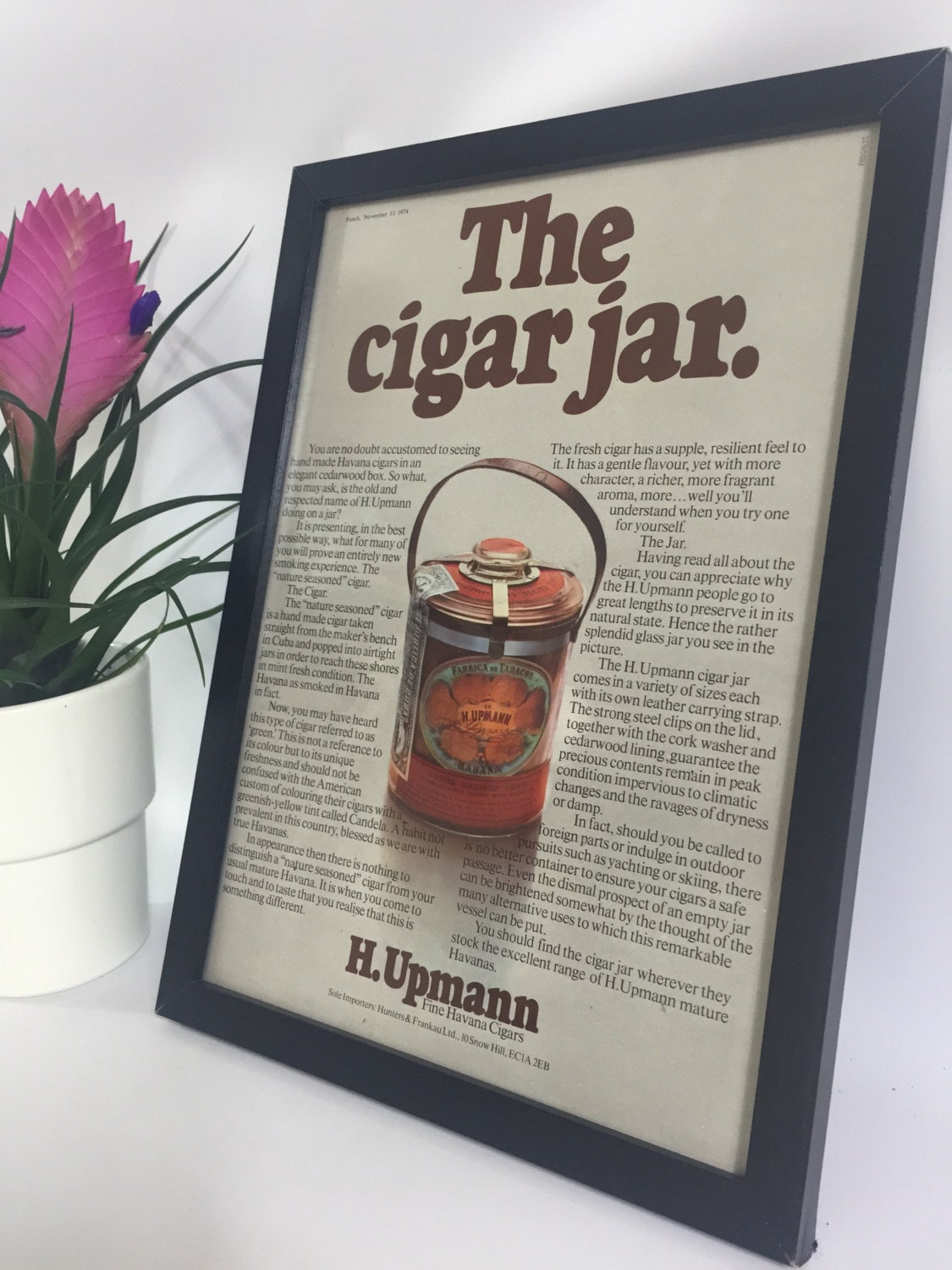 H Upmann Framed Advert Vintage Cigar Poster Frame Cigar Jar | Etsy