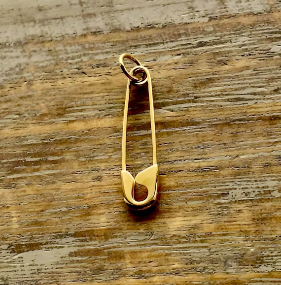Gold Safety Pin Solidarity Brooch Handmade Safety Pin Movement Dainty Charm Pendant 3 4 Inches Etsy Canada