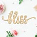 Script Bliss Wood Sign wood Sign Art Wooden Bliss Bliss - Etsy