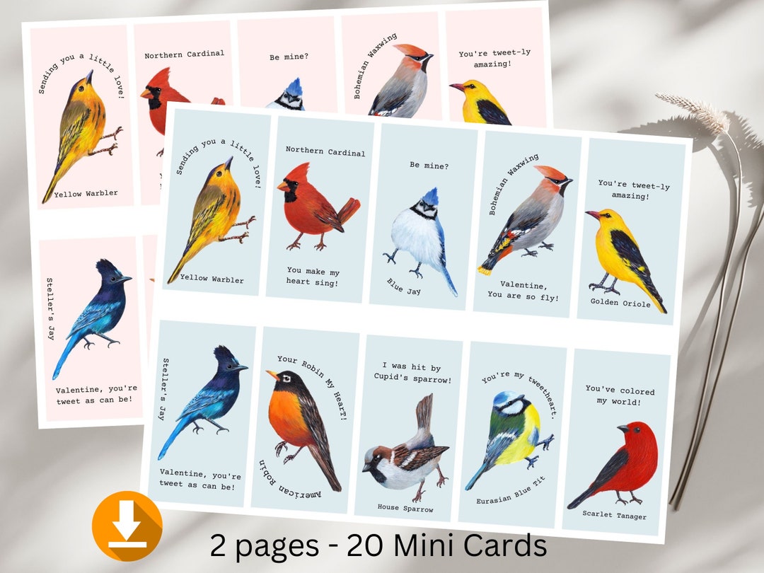 Digital 20 Mini Bird Valentine Card, Card for Classroom, Card for Kid ...