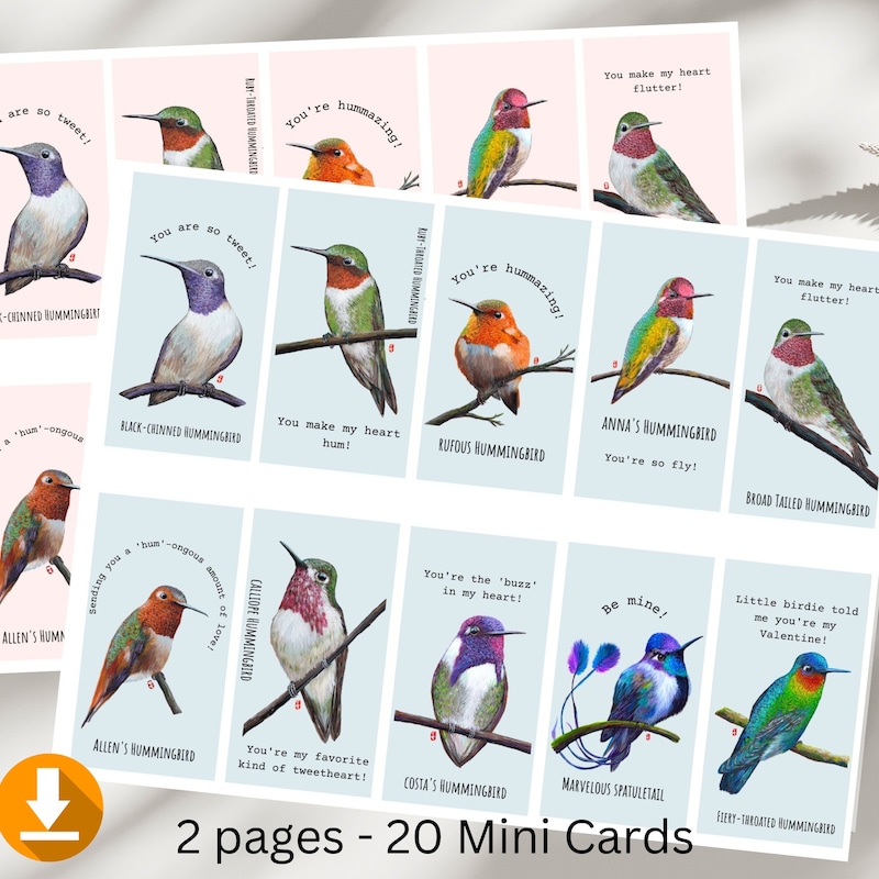 Hummingbird Card - Etsy