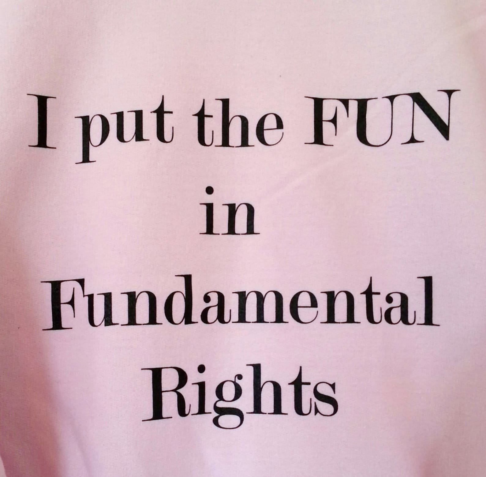 Feminism Light Pink or Dark Grey 'I Put the FUN in - Etsy