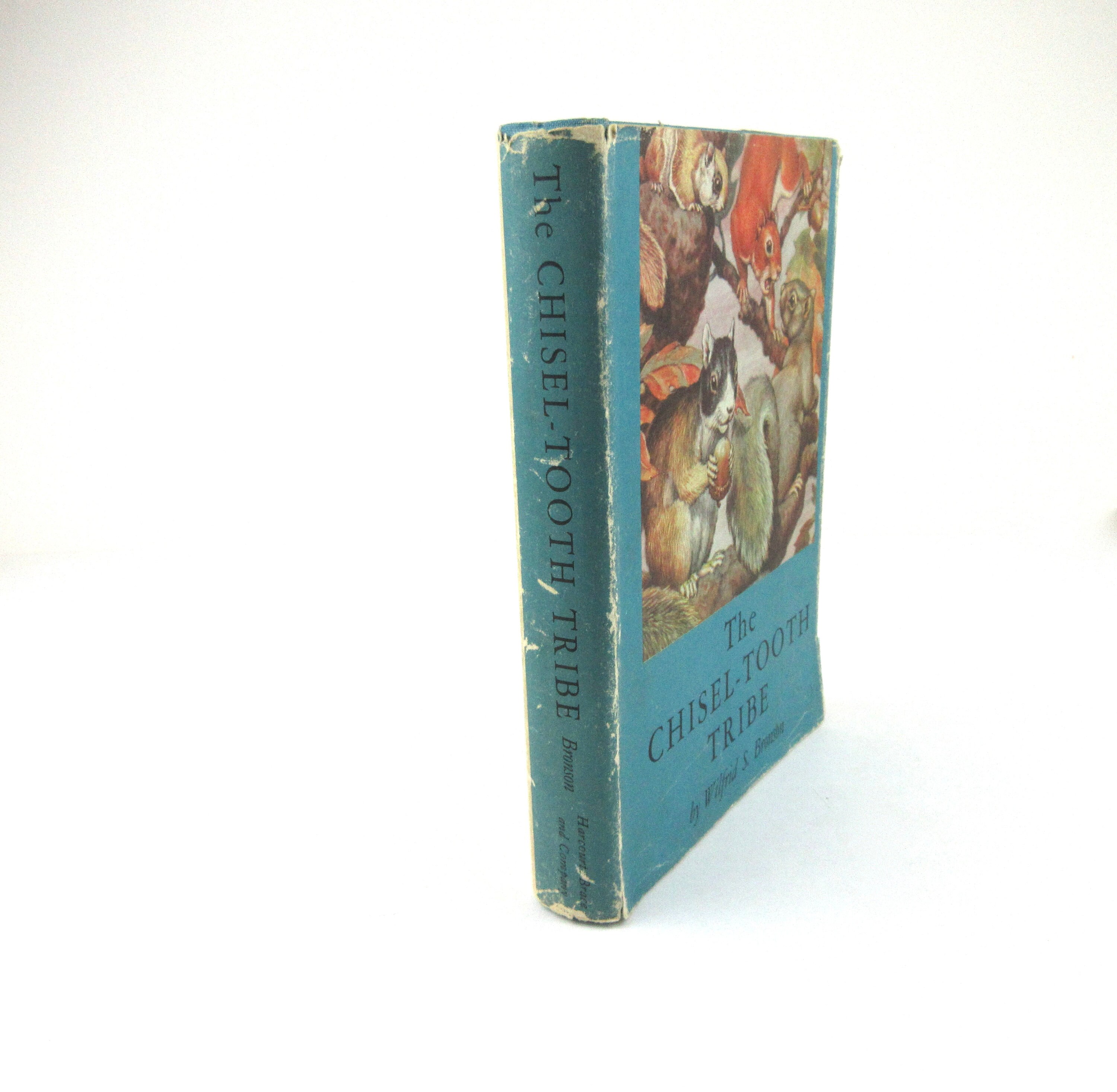 The Chisel-tooth Tribe by Wilfred S. Bronson - Etsy