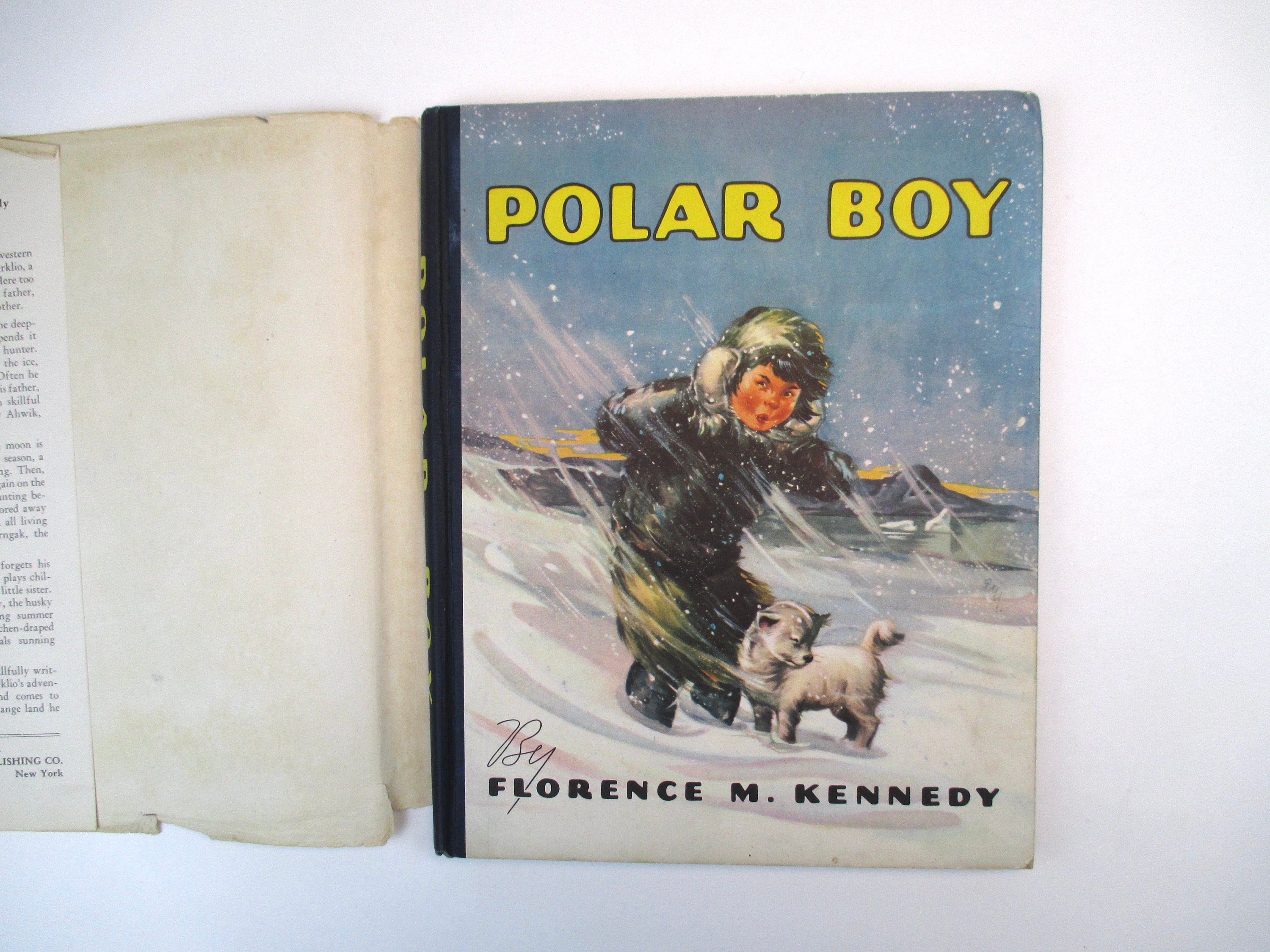 Polar Boy by Florence M. Kennedy - Etsy