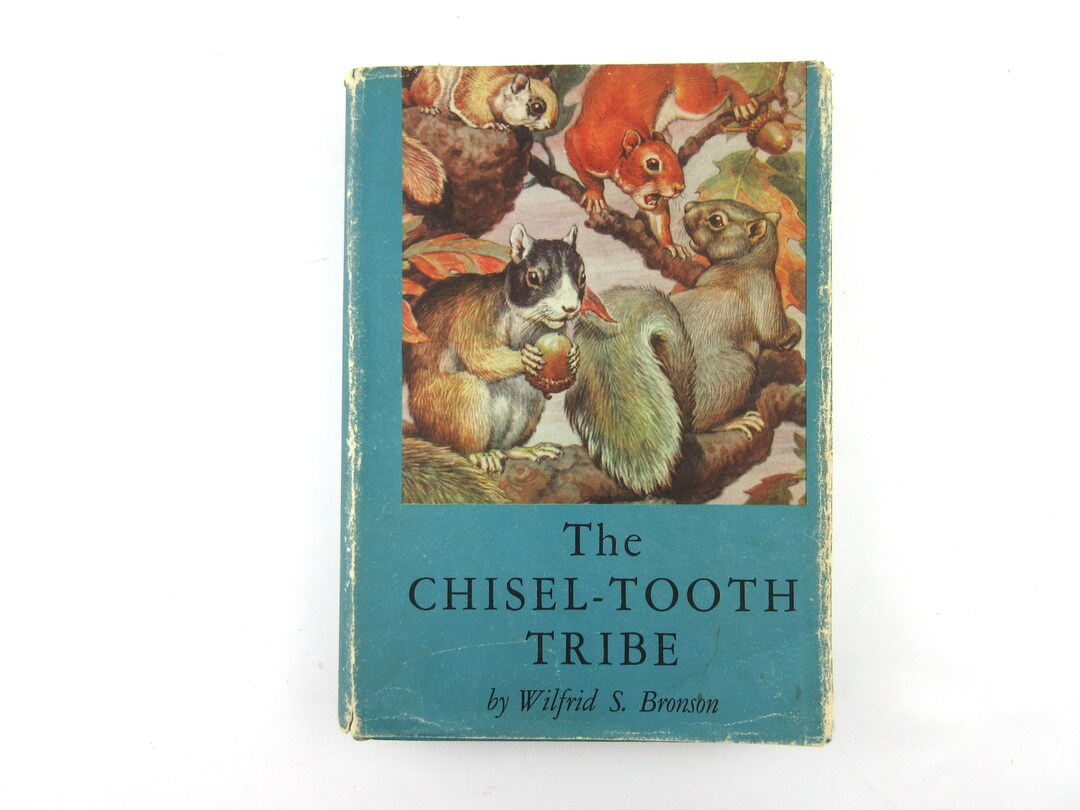 The Chisel-tooth Tribe by Wilfred S. Bronson - Etsy