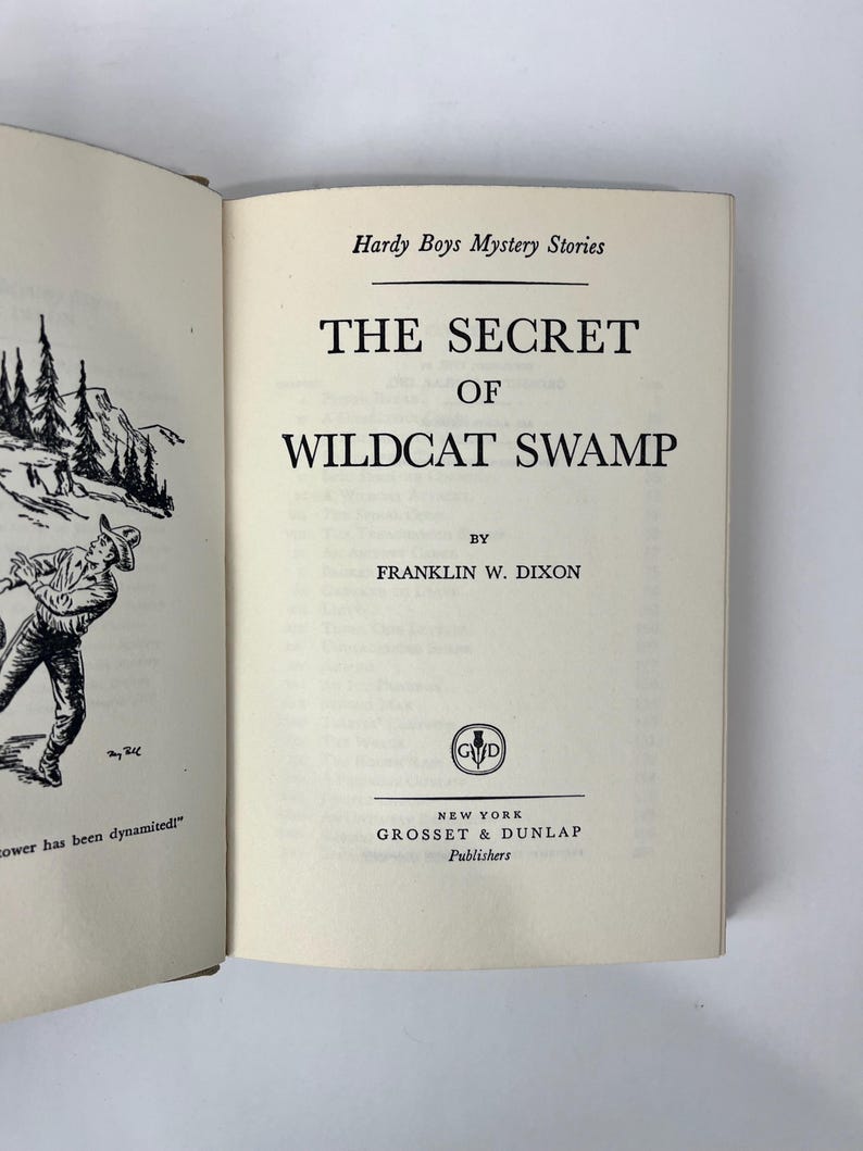 THE HARDY BOYS the Secret of Wildcat Swamp by Franklin W. Dixon - Etsy