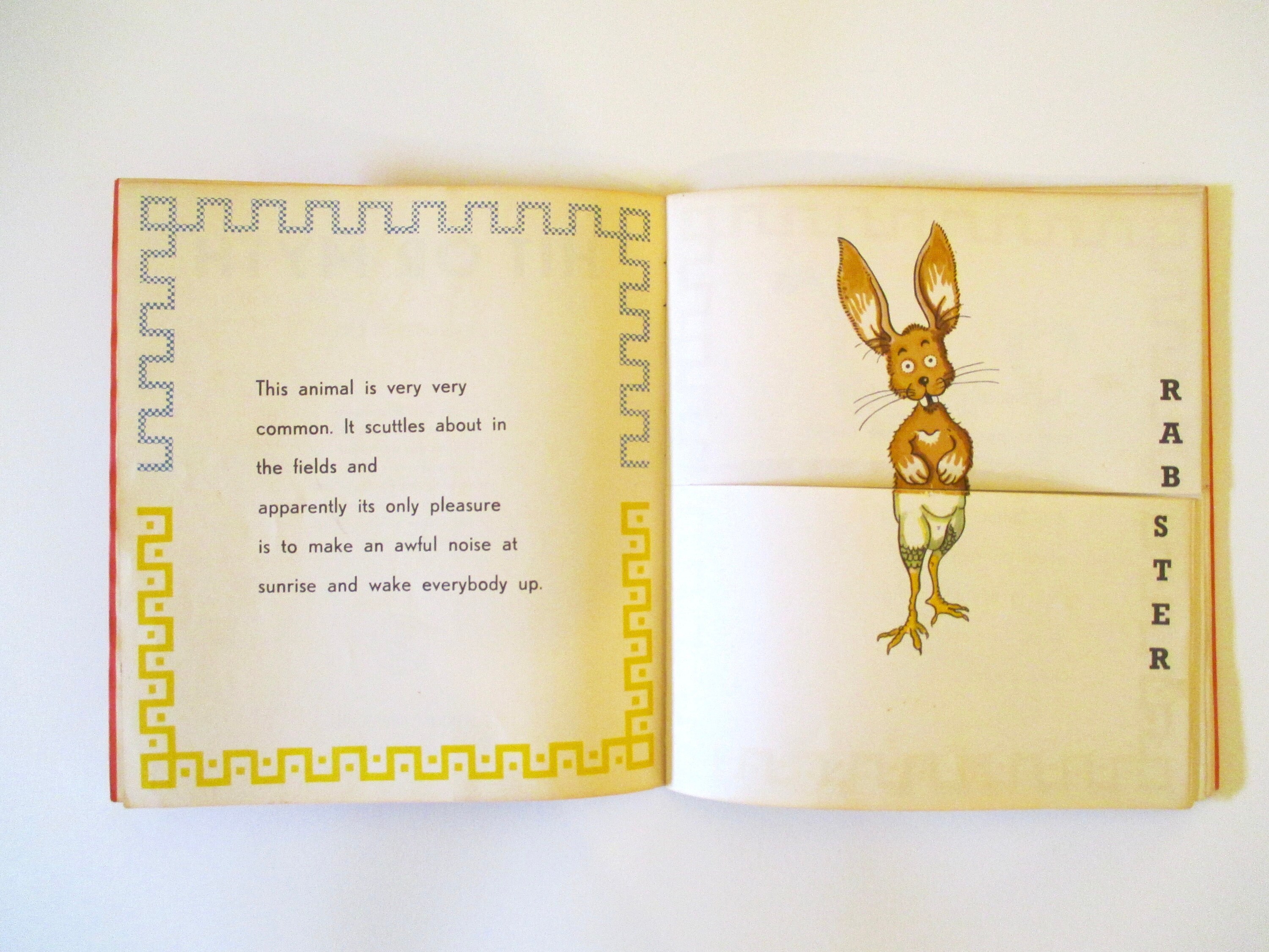 Hit or Myth by James Riddell A Split Book - Etsy