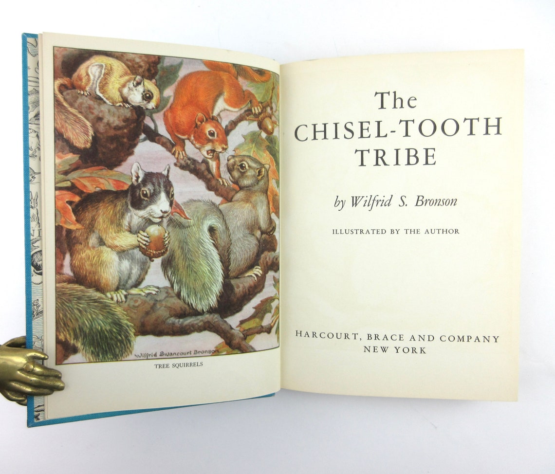 The Chisel-tooth Tribe by Wilfred S. Bronson - Etsy