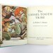The Chisel-tooth Tribe by Wilfred S. Bronson - Etsy